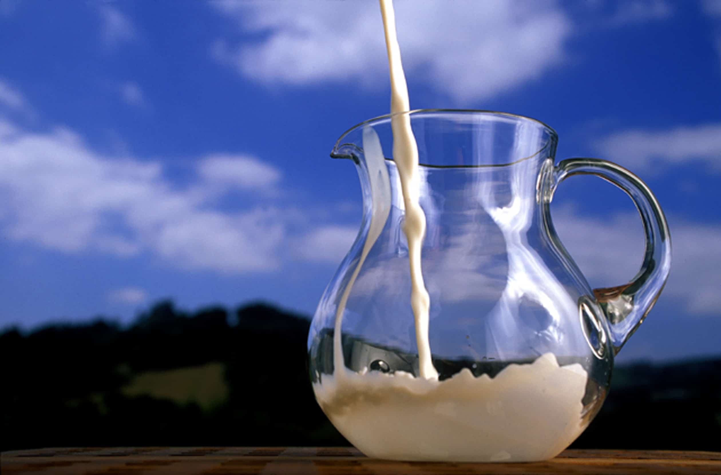 Comienza la segunda fase de la campaña de promoción de la leche y ...