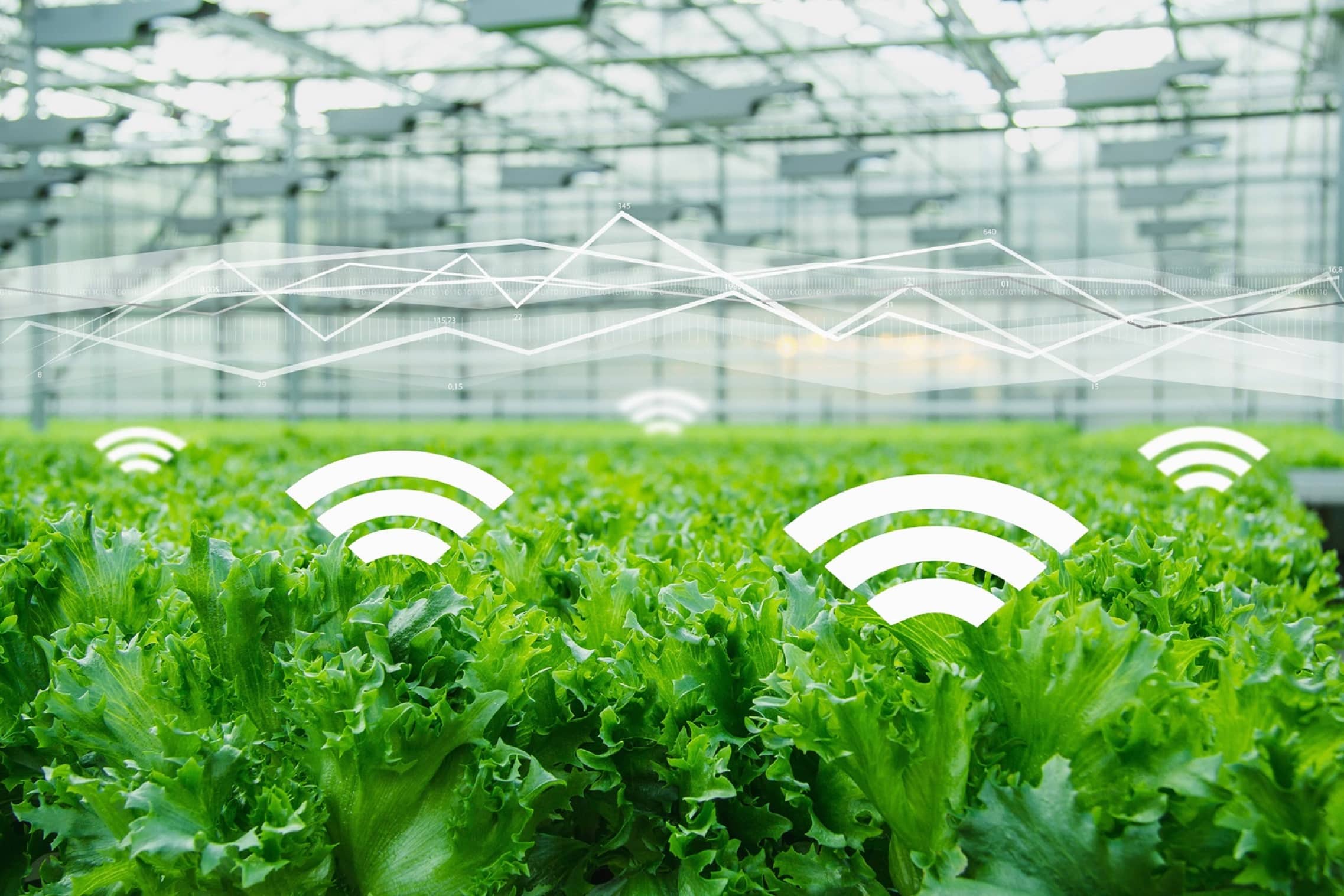 Los principales agentes de la innovación en el sector agroalimentario ...