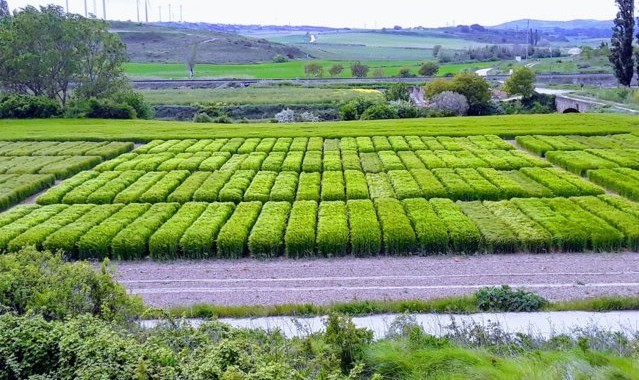 Vida rural - Agronegocios