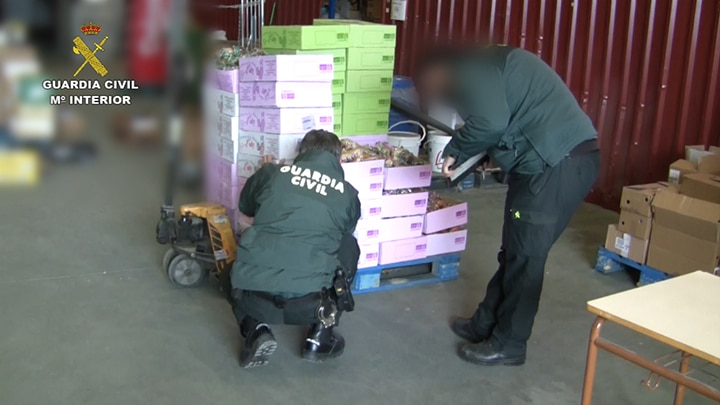 La Guardia Civil incauta 300 t y 39.000 ltrs de alimentos y bebidas falsos