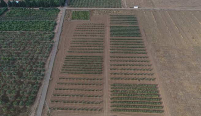 Vida rural - Agronegocios