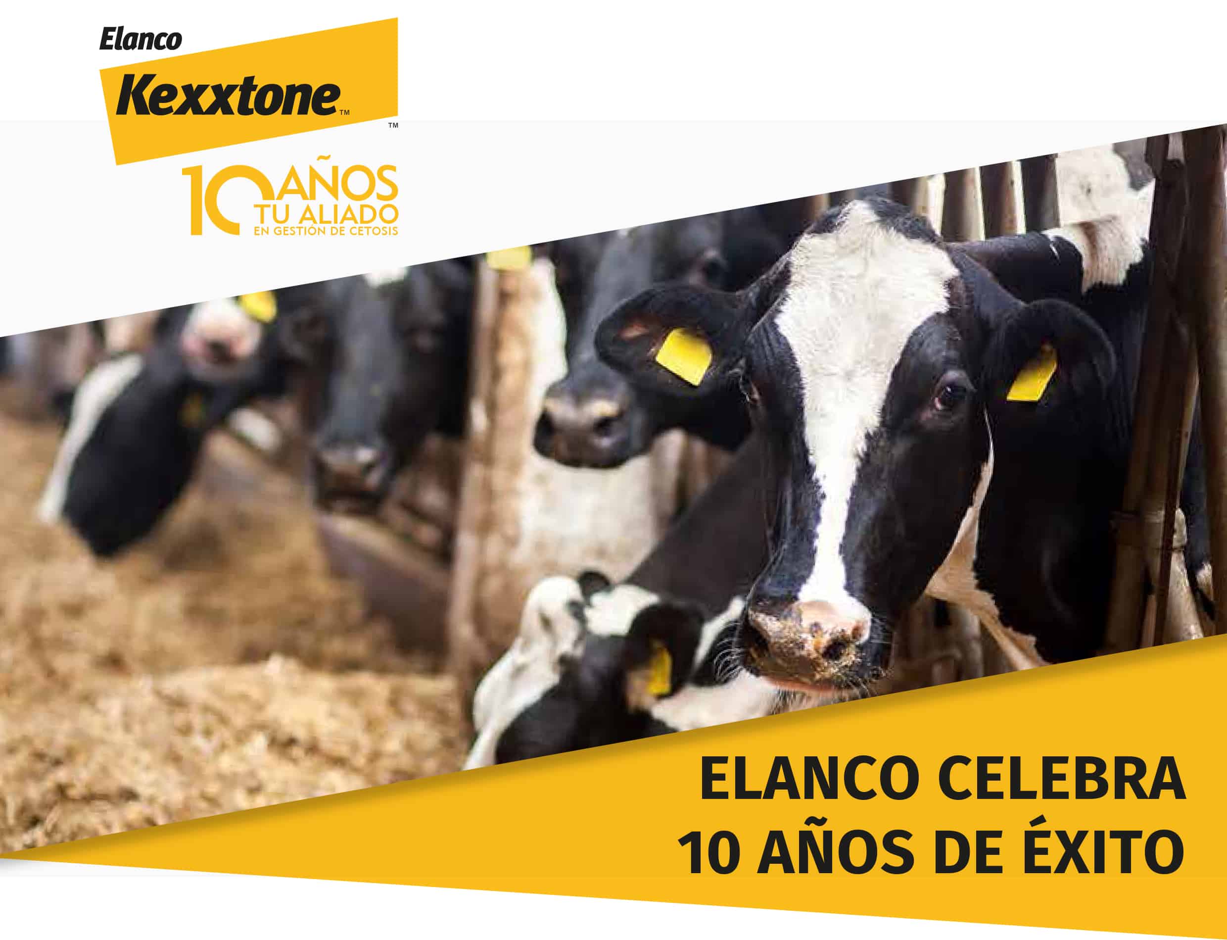 Elanco impulsa una campaña de donación de lácteos para Mensajeros de La ...