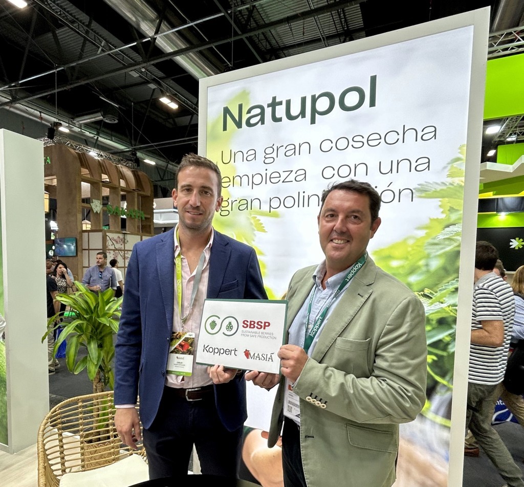 Masiá Ciscar crea un certificado para sus frutos rojos